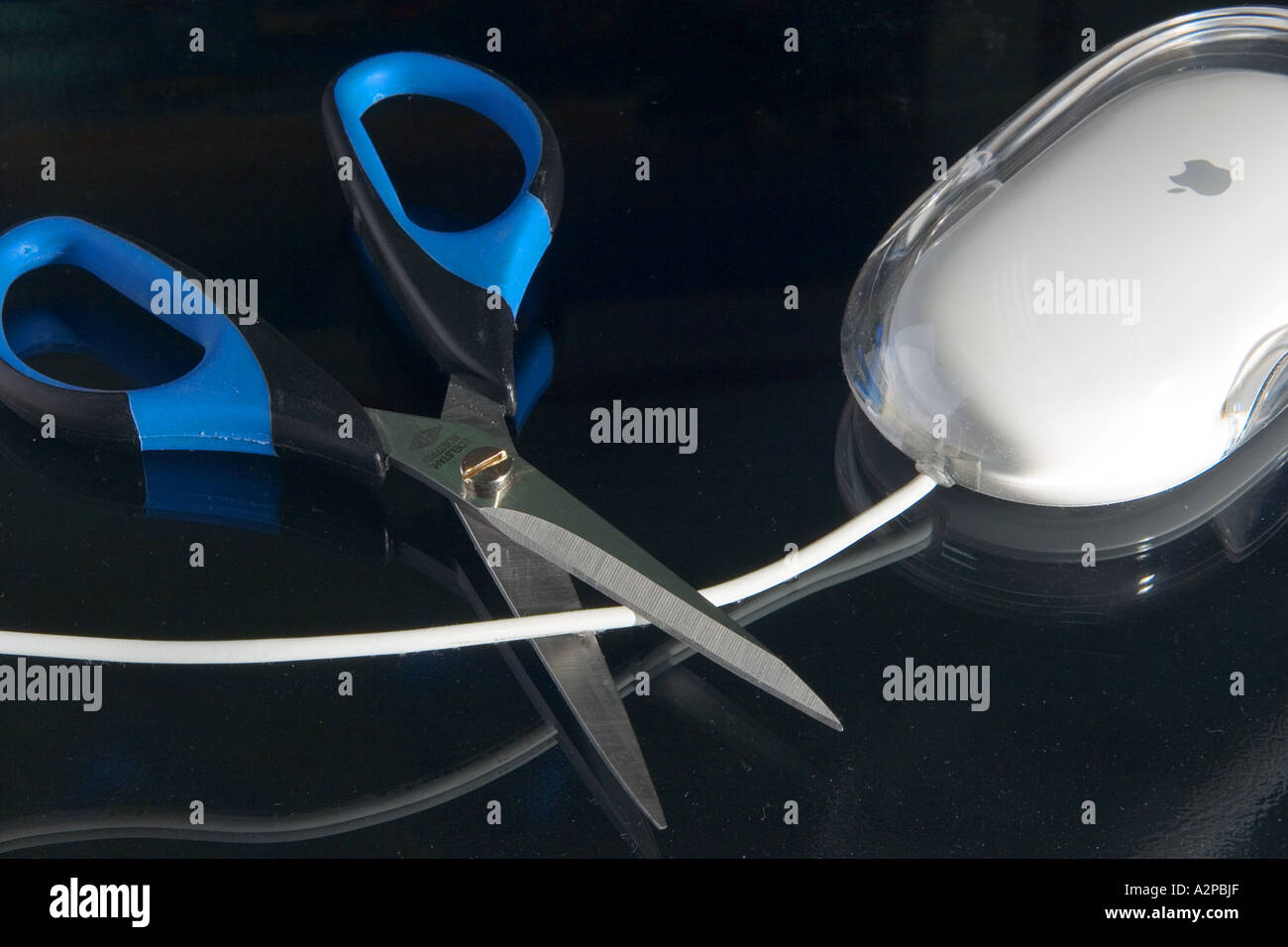 Shear mouse hi-res stock photography and images - Alamy