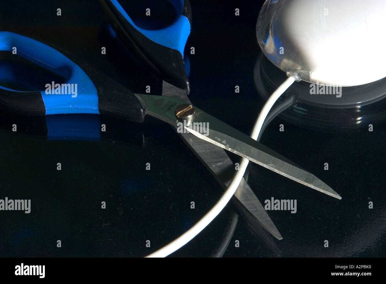 Shear mouse hi-res stock photography and images - Alamy