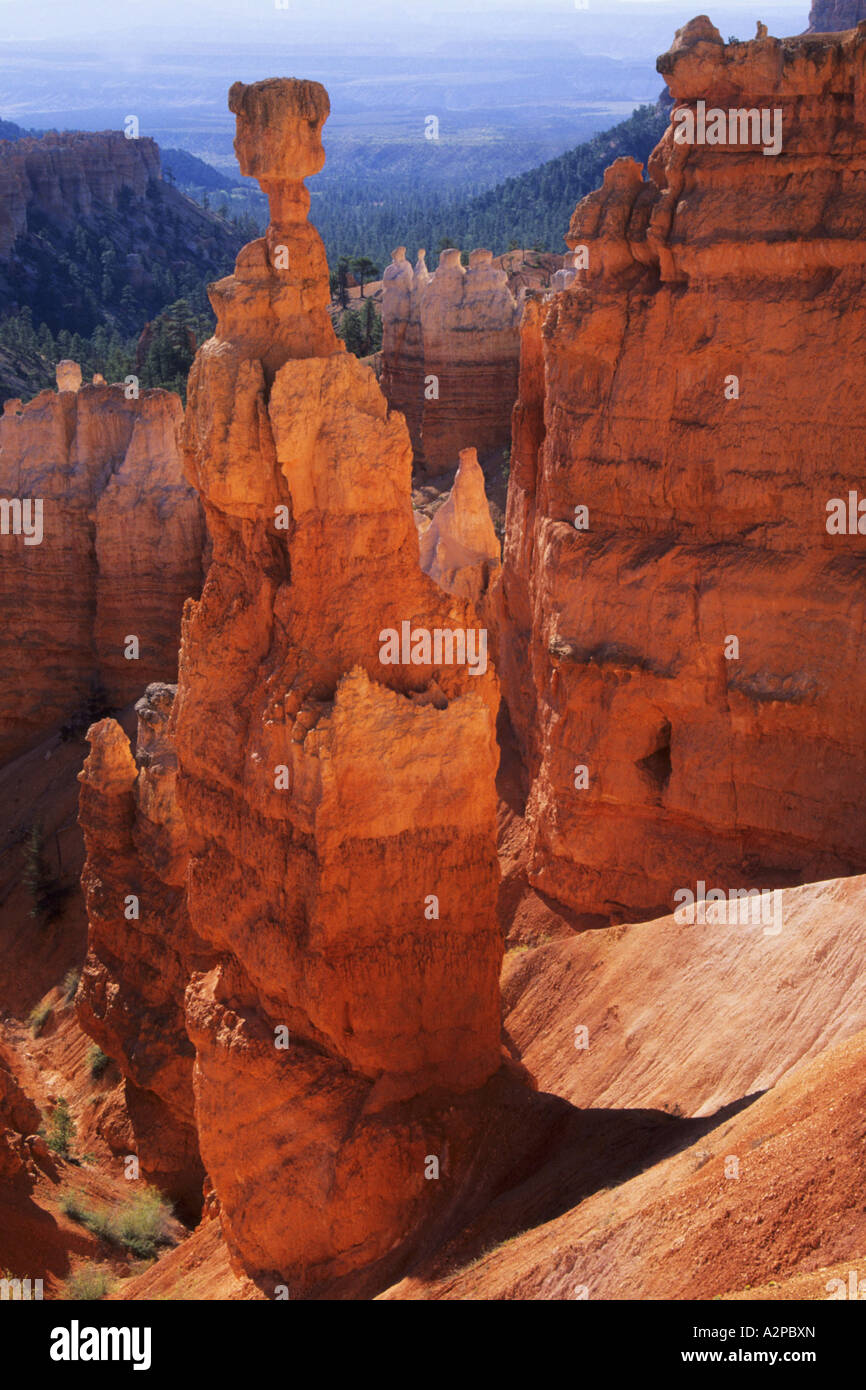 Landscpae format hi-res stock photography and images - Alamy