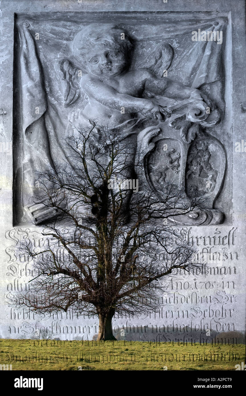 Skeletal trees in combination Stock Photo - Alamy