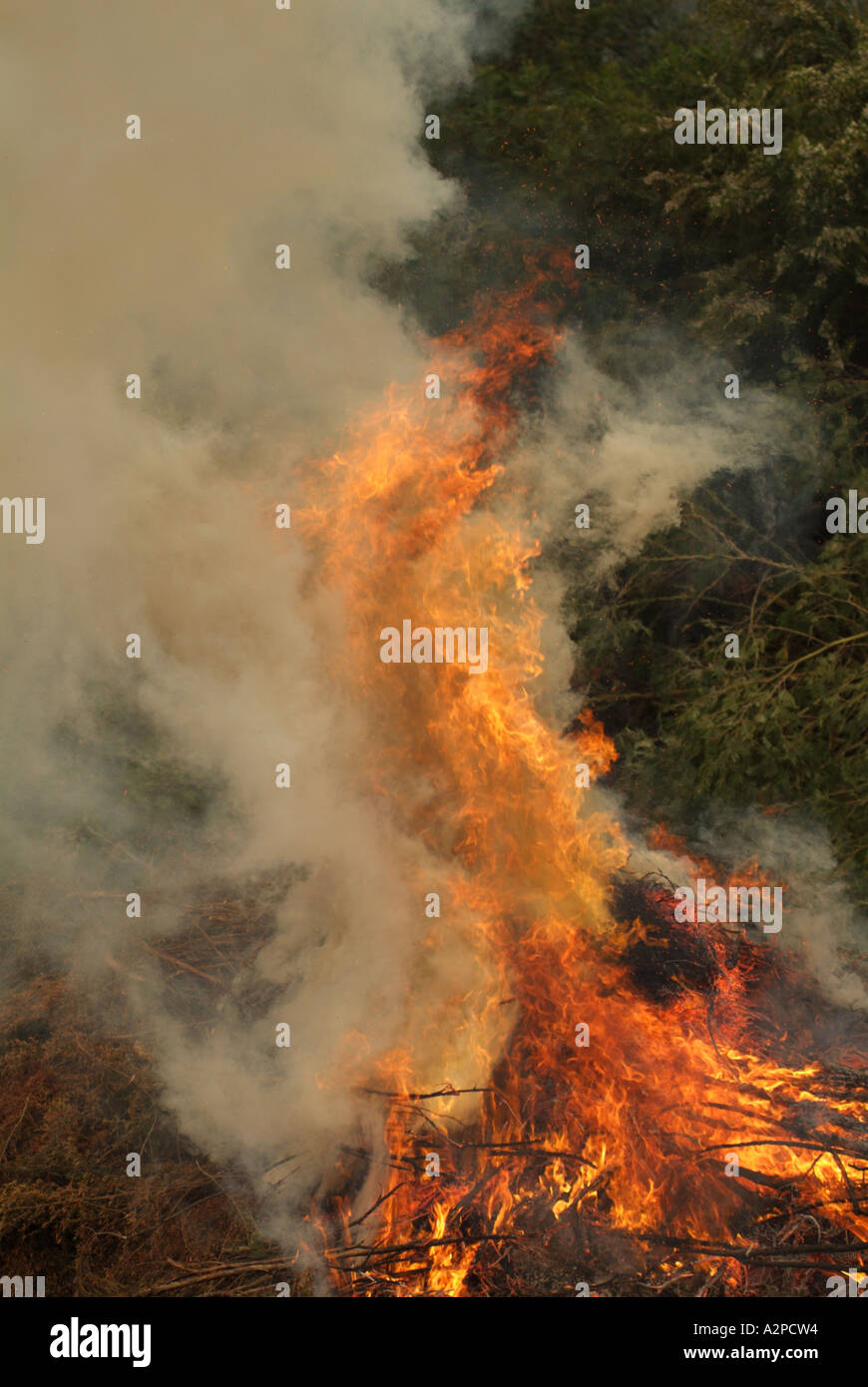 Fire rise hi-res stock photography and images - Alamy