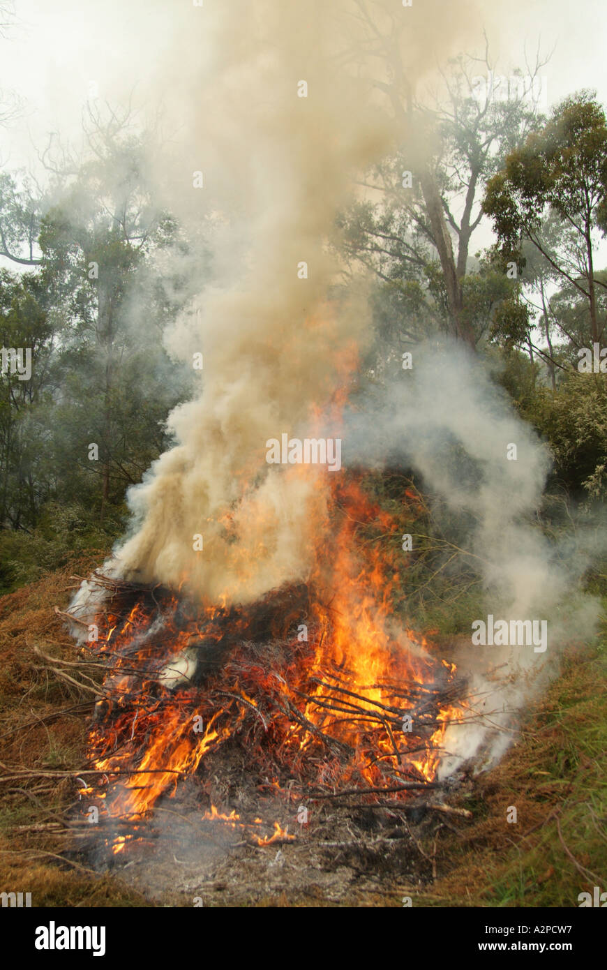 Fire rise hi-res stock photography and images - Alamy