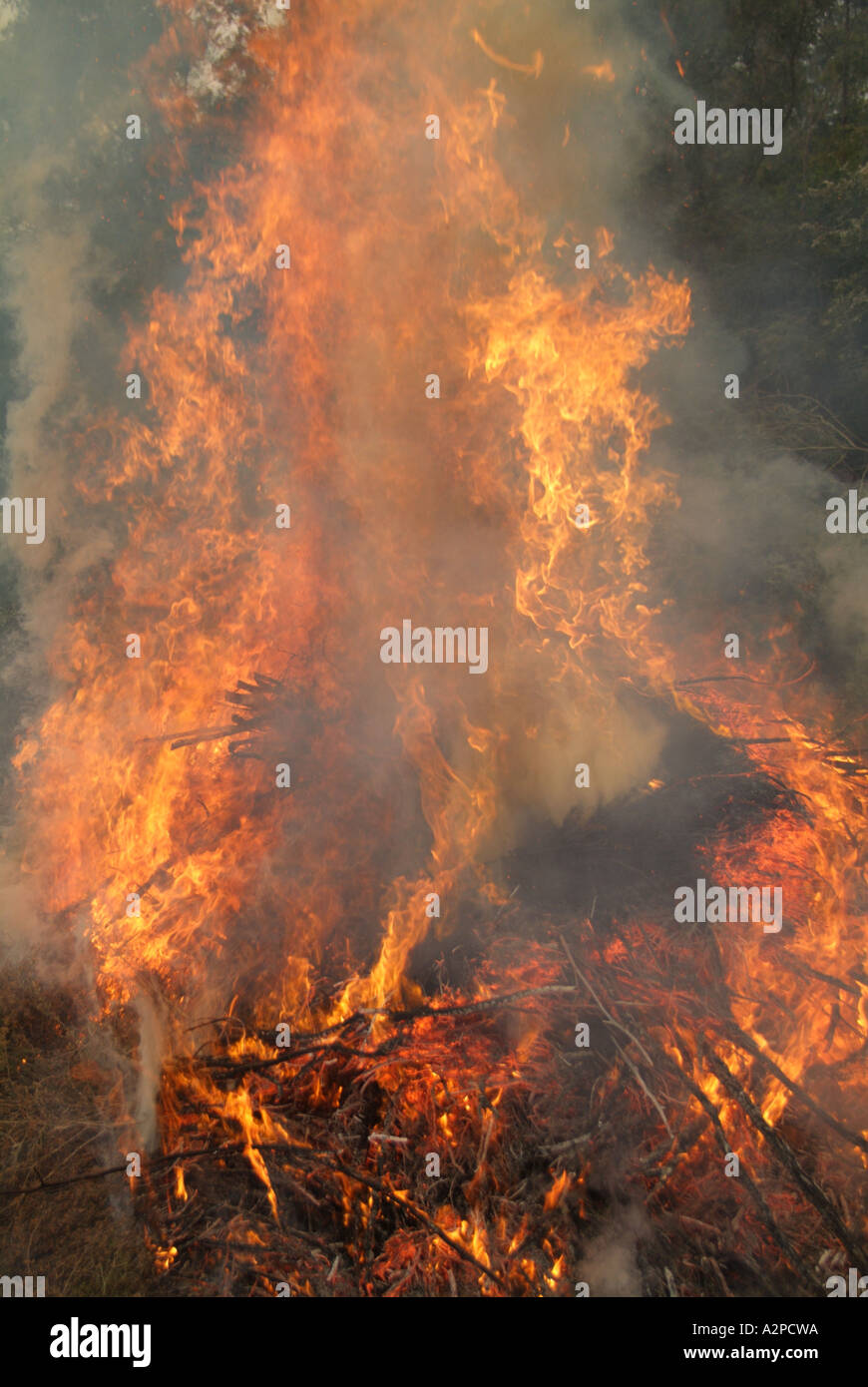 Flames and radient heat from intense fire of burning sticks Stock Photo ...