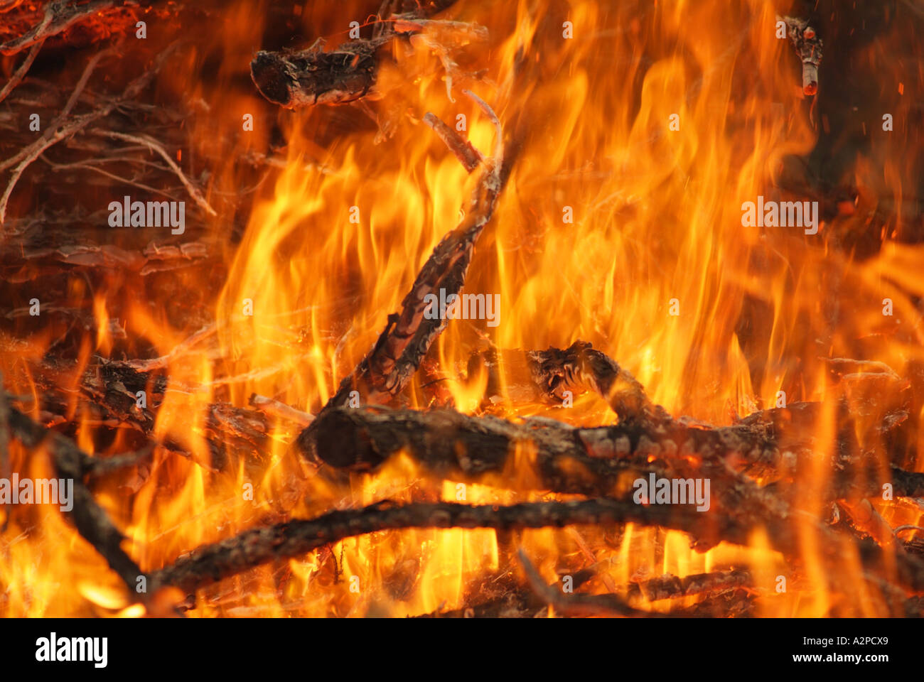 Flames and radient heat from intense fire of burning sticks Stock Photo ...