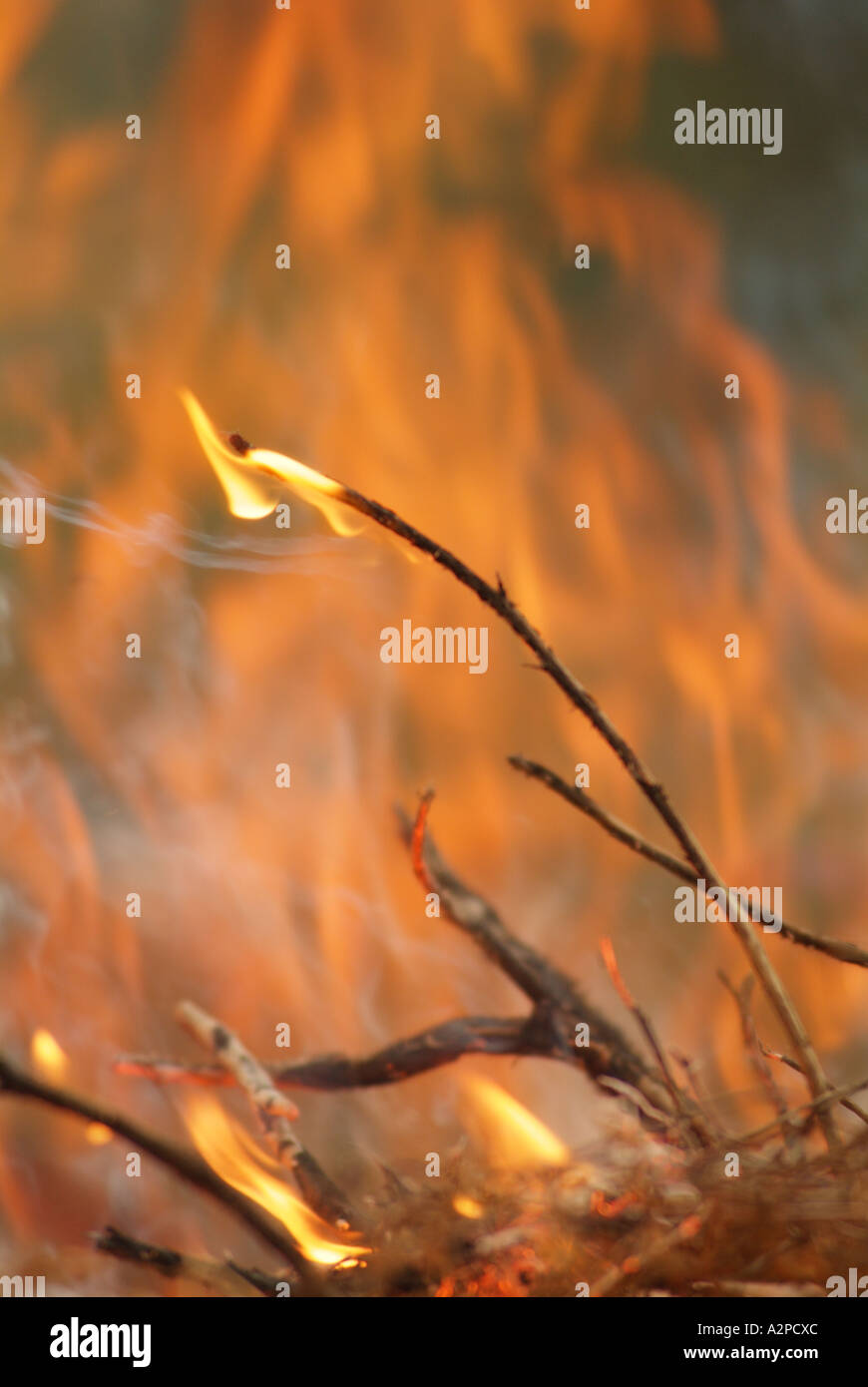 Burning stick flames from fire hi-res stock photography and images - Alamy