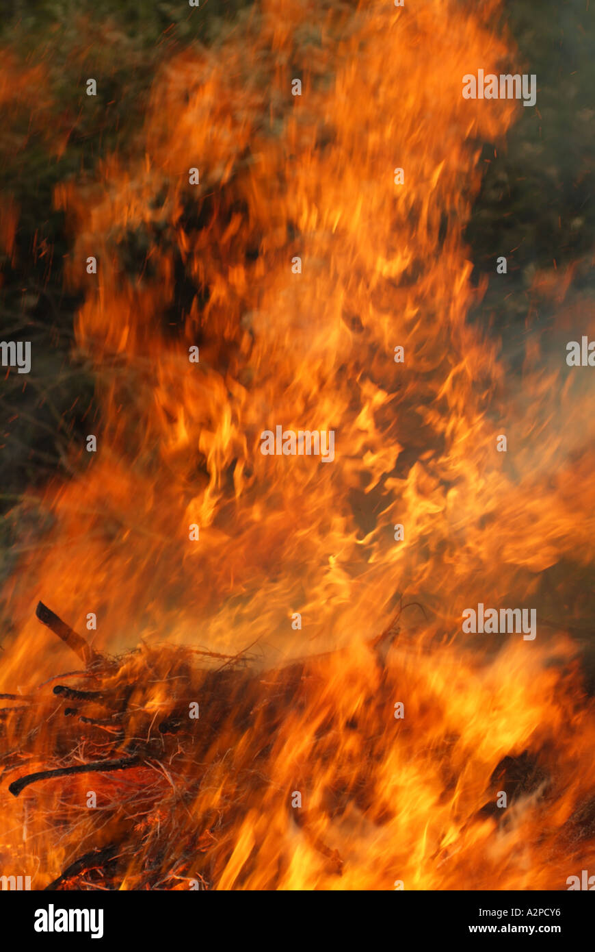 Fire flames leap from bonfire with intense heat Stock Photo - Alamy