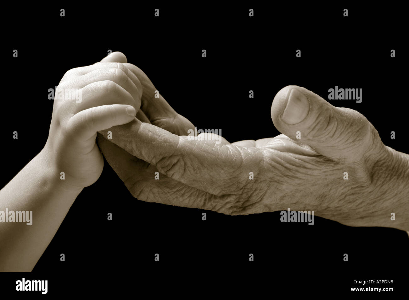 generations - baby hand holding adult hand Stock Photo - Alamy