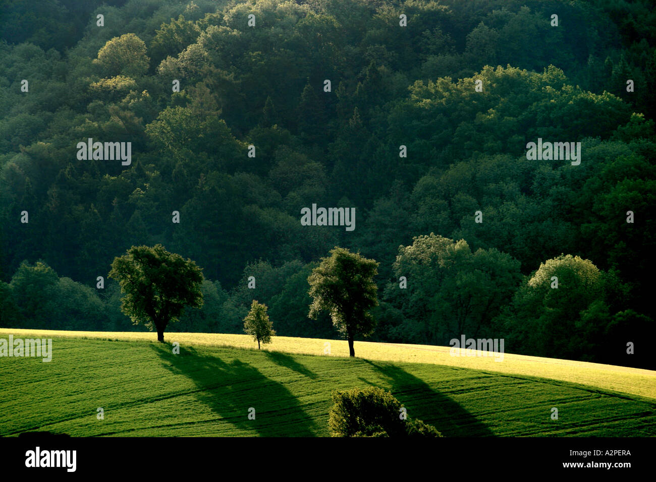 Idyll idyllic idylls hi-res stock photography and images - Alamy
