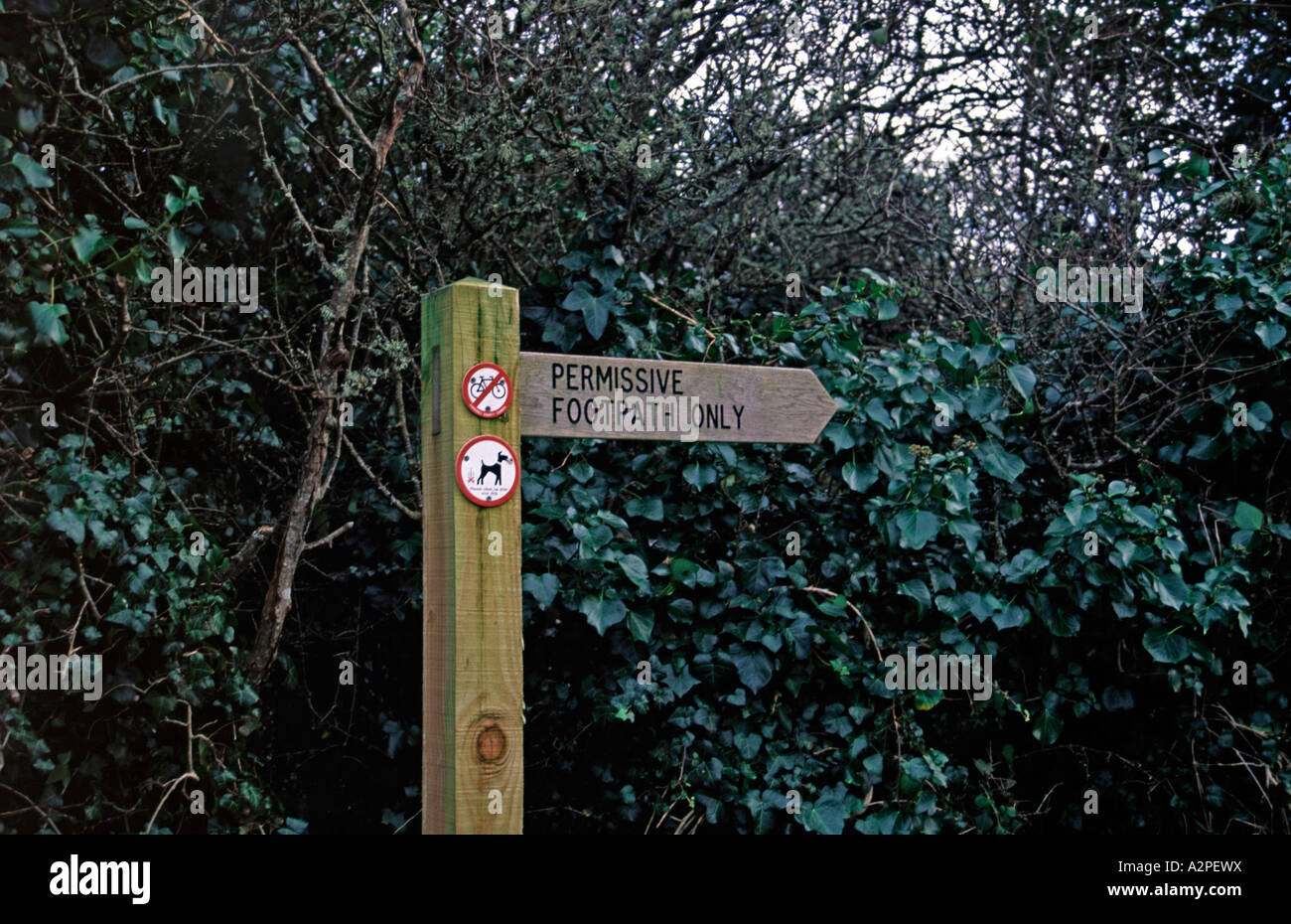 Signpost located on the Camel Trail, Cornwall, UK, near Padstow. Sign ...
