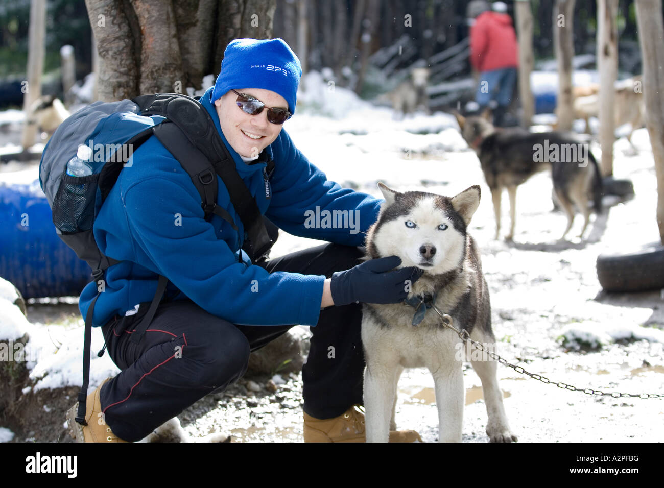 Young man male boy guy adult patting with a Siberian Huski sledge sled ...