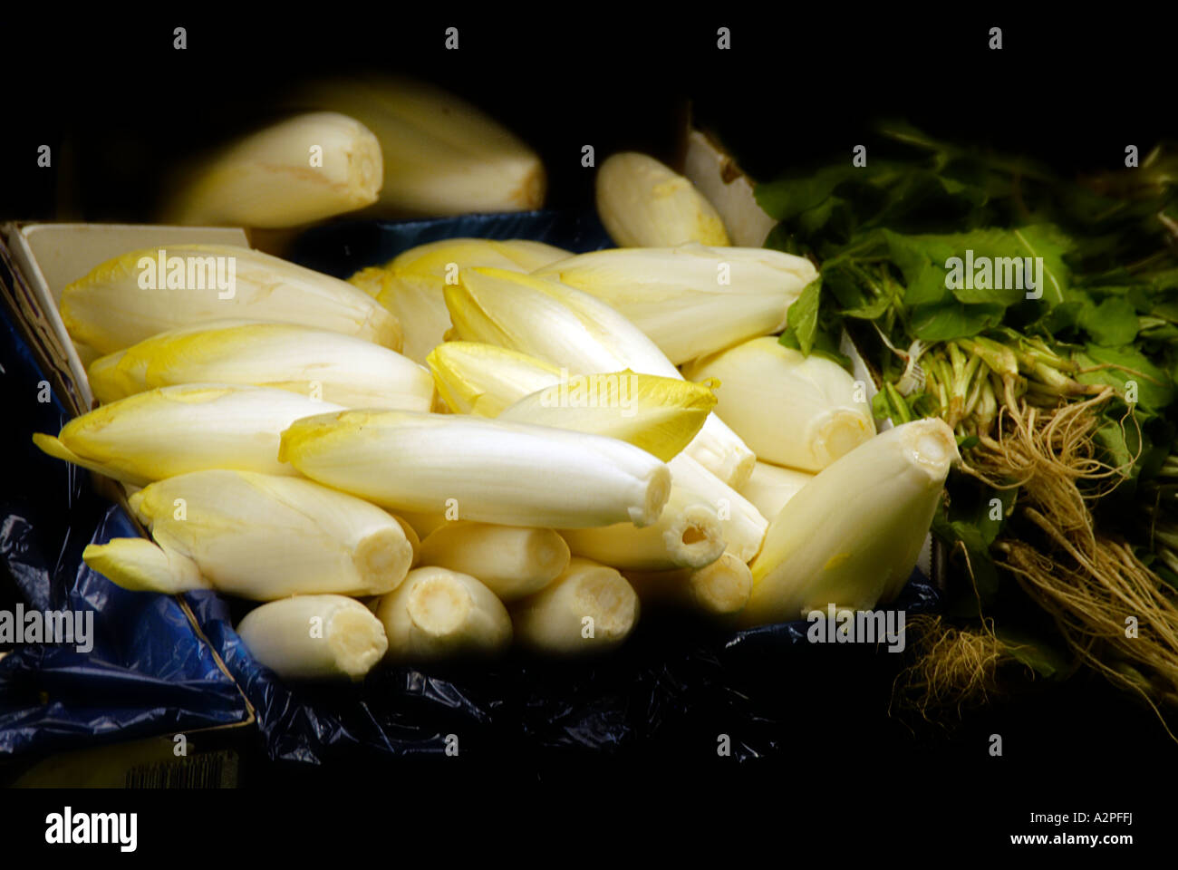 Endive on display in a food market Stock Photo - Alamy
