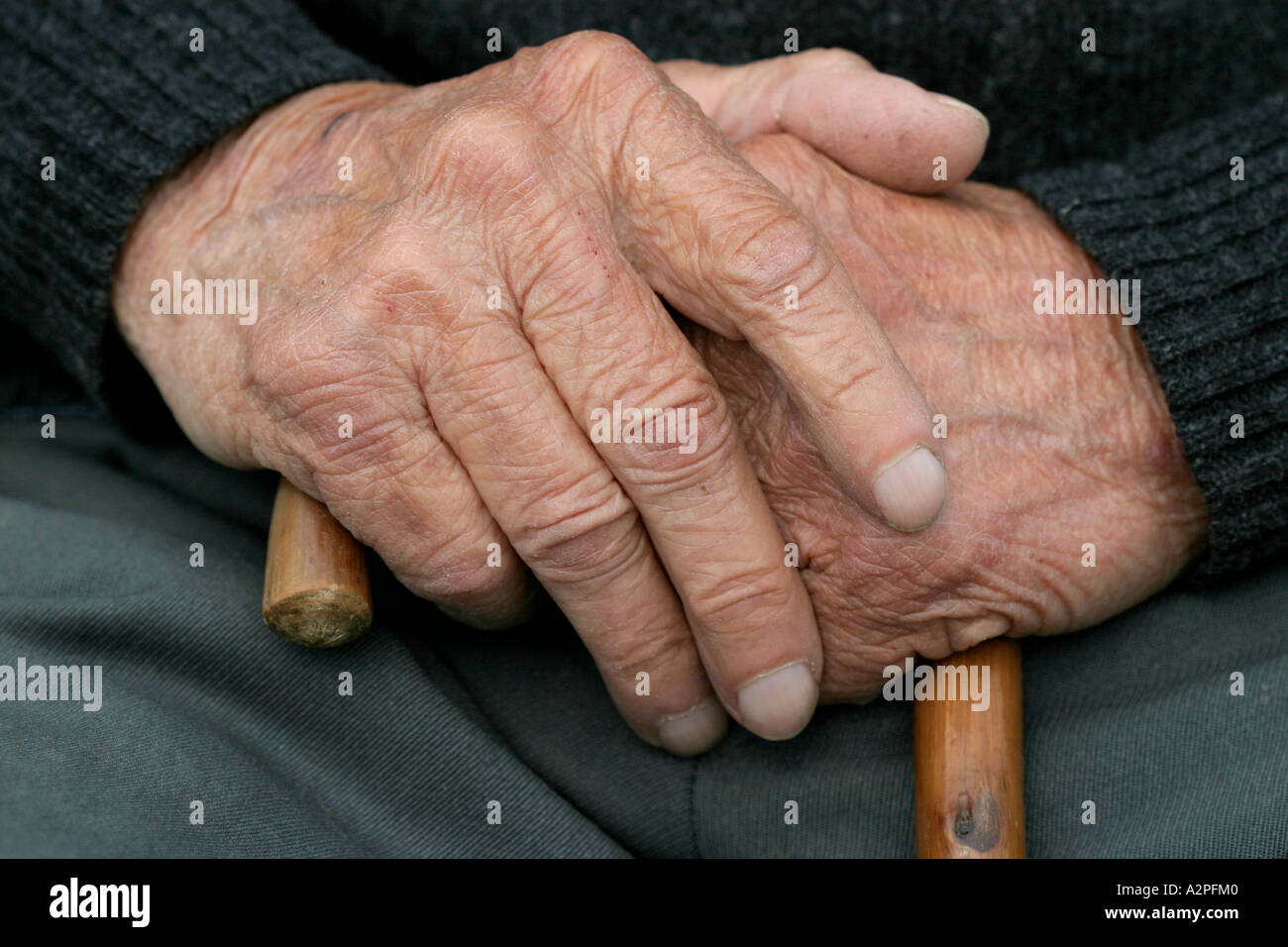 old man holding walking stick Stock Photo - Alamy old man holding walking stick Stock Photo - Alamy