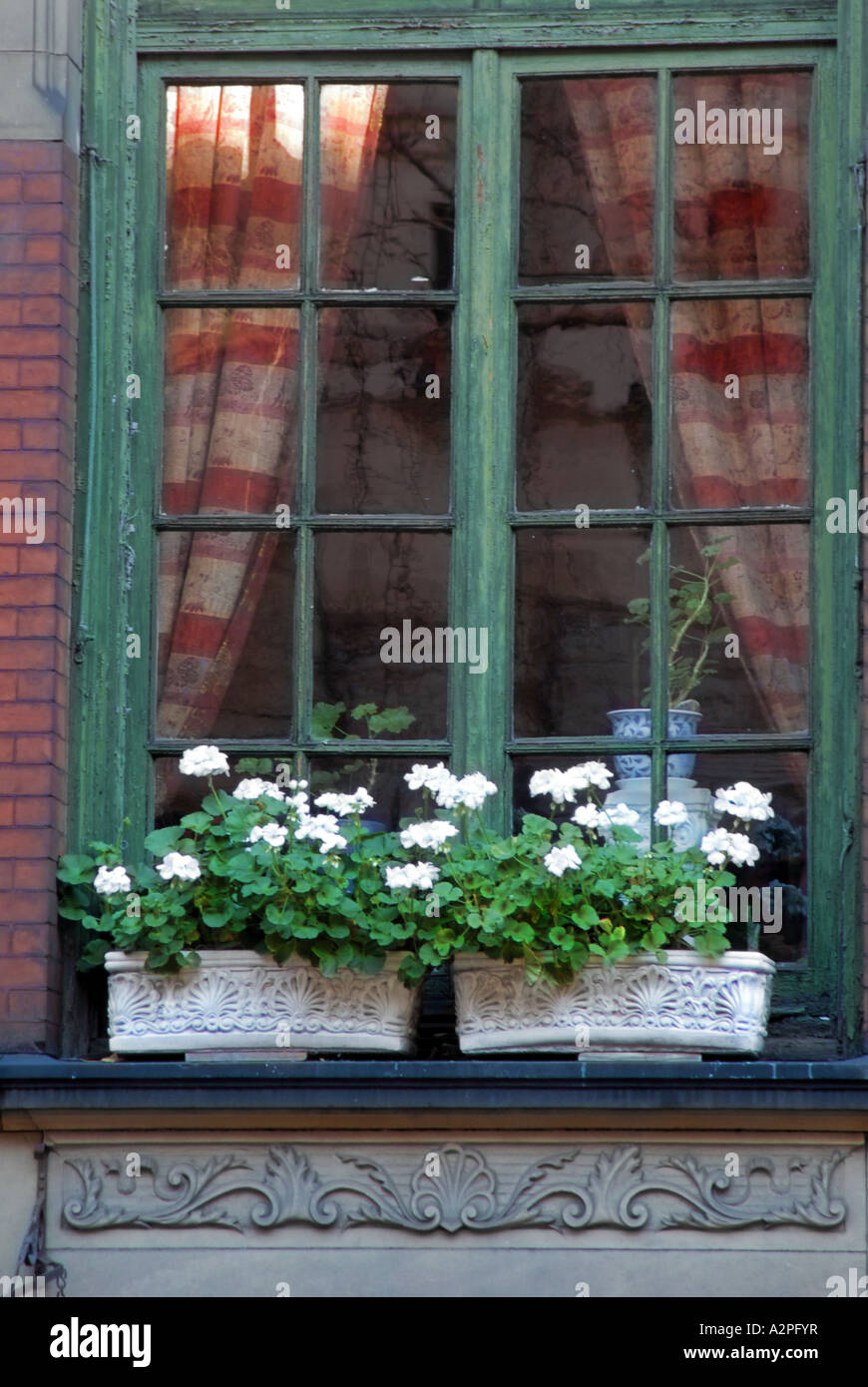 Outdoor flower box on a weathered urban window Stock Photo - Alamy