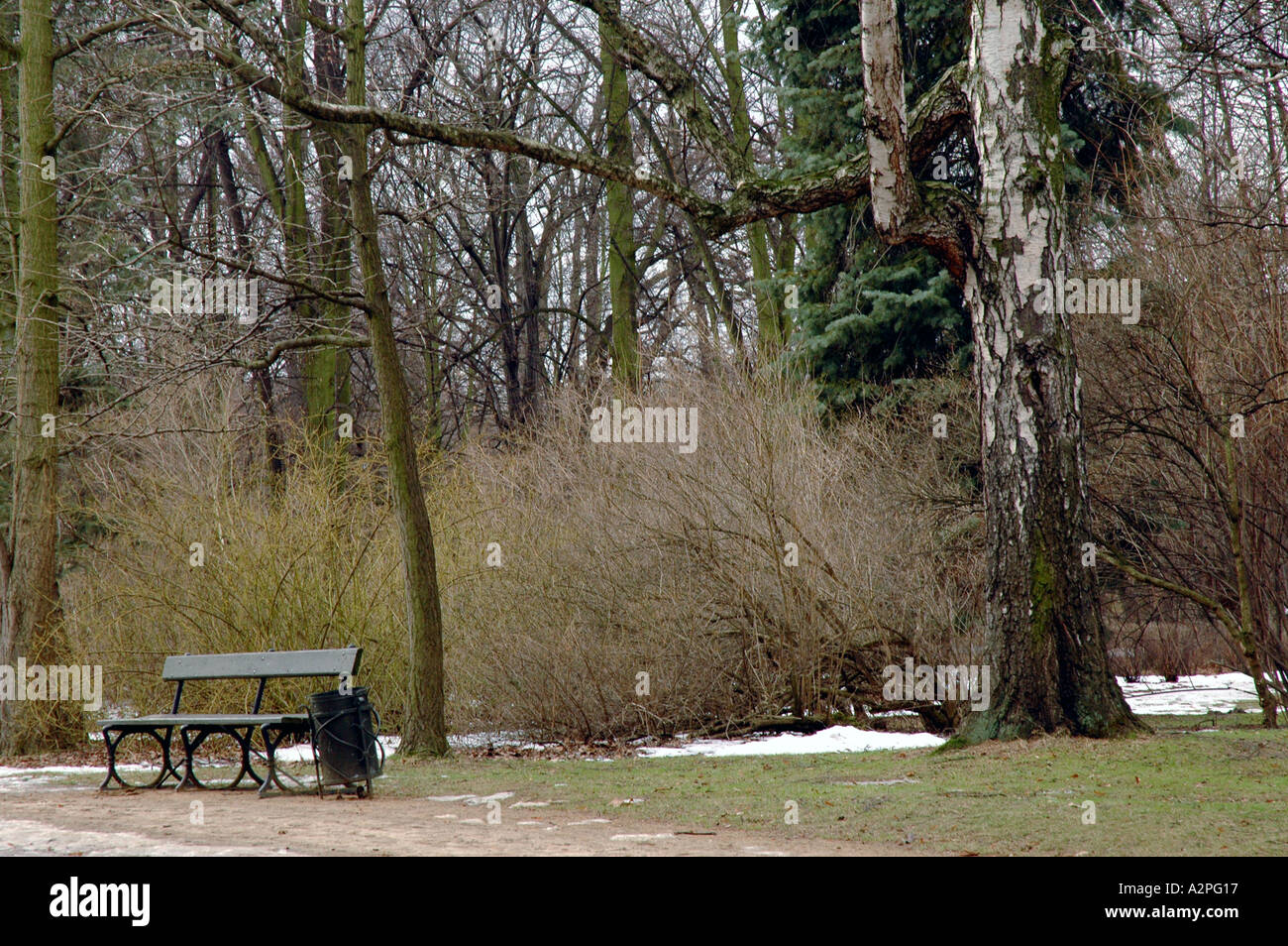 Lazienkowski Park Warsaw Poland Stock Photo - Alamy