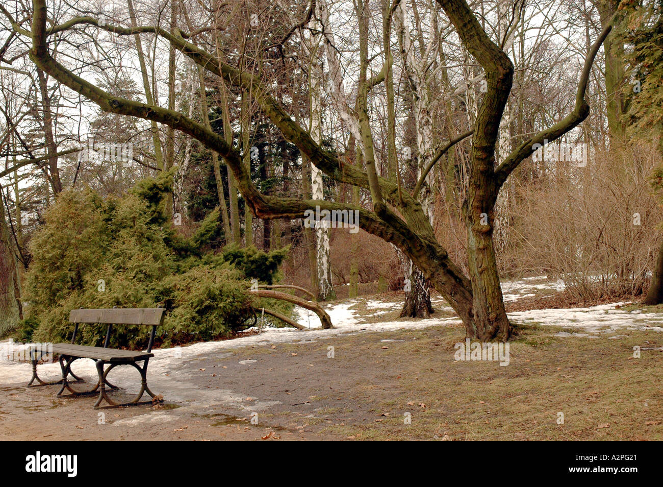 Lazienkowski Park Warsaw Poland Stock Photo - Alamy