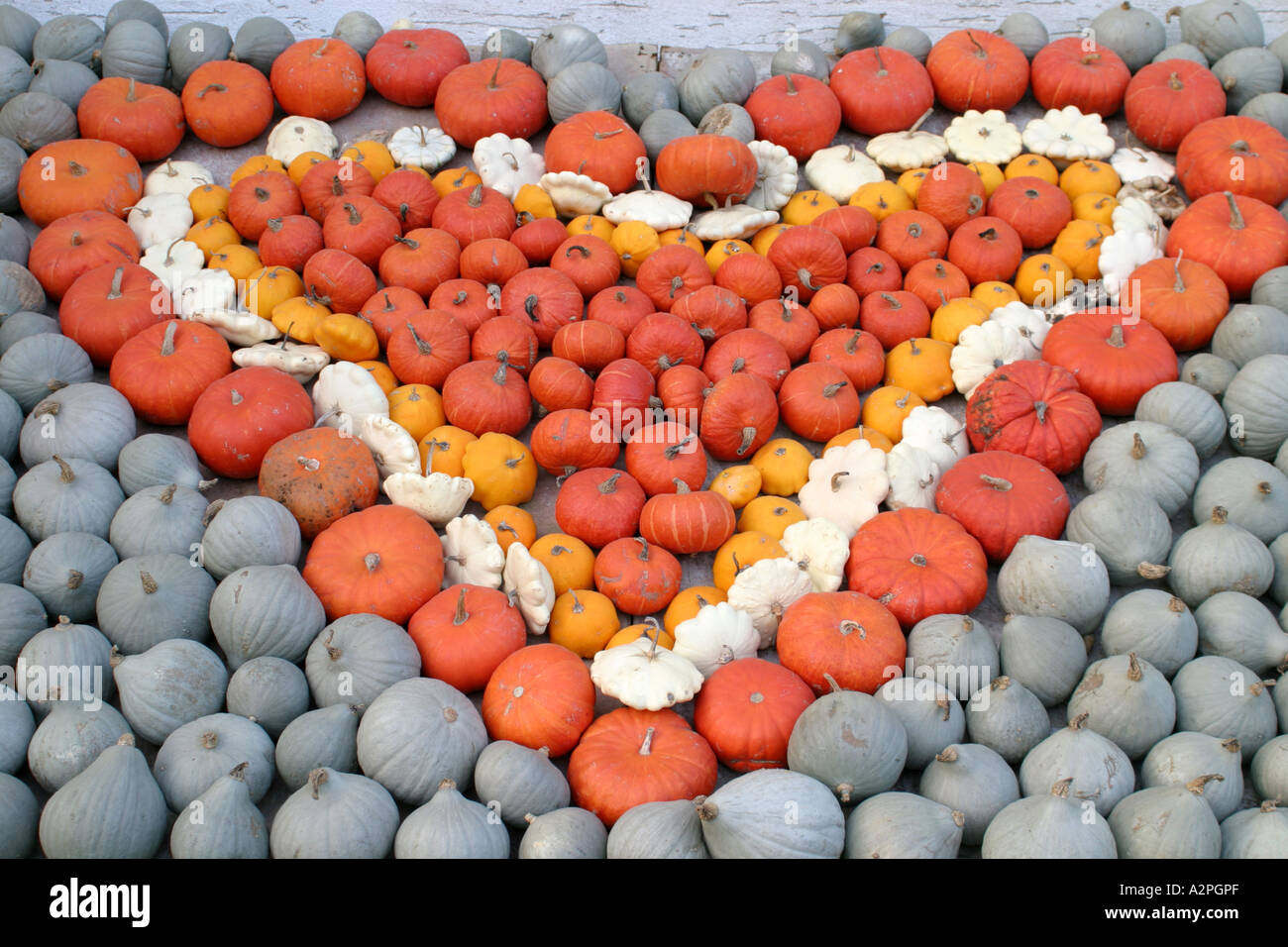 heart of pumpkins Stock Photo - Alamy