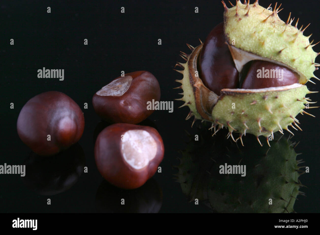 Chest nut hi-res stock photography and images - Alamy