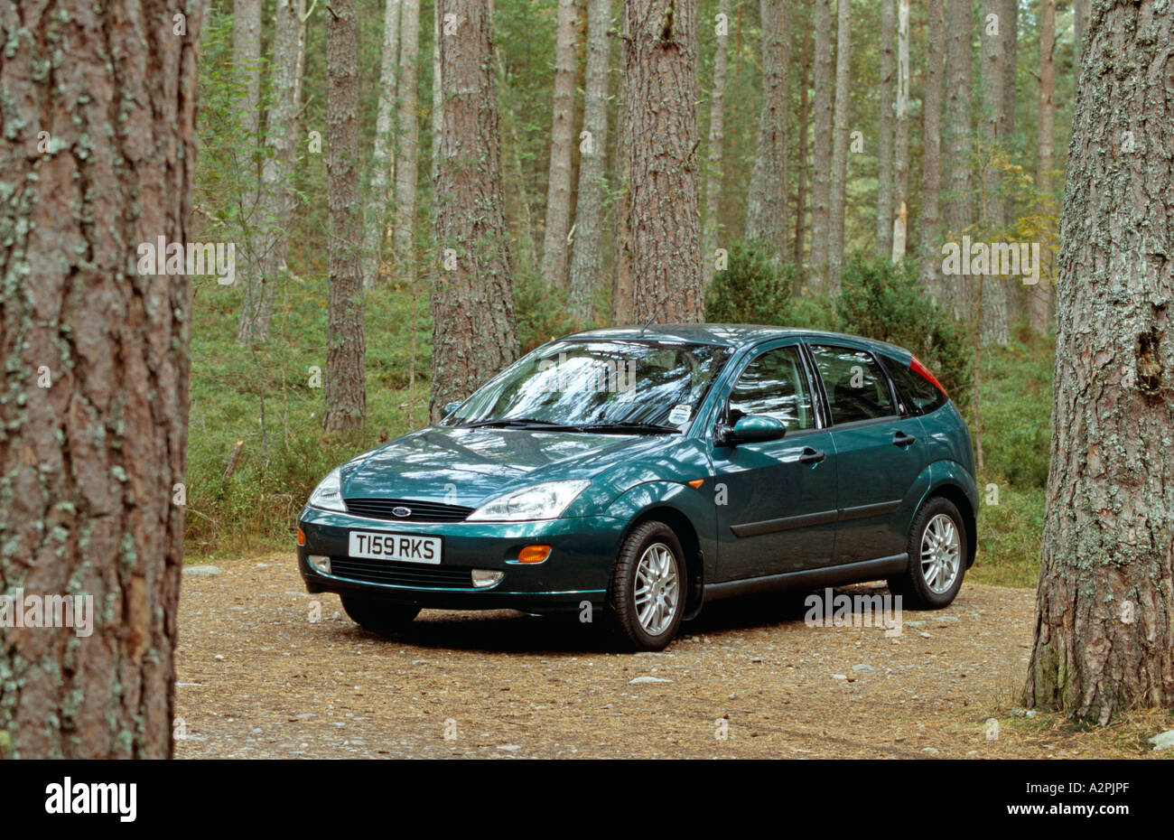 Ford focus 1999 hi-res stock photography and images - Alamy
