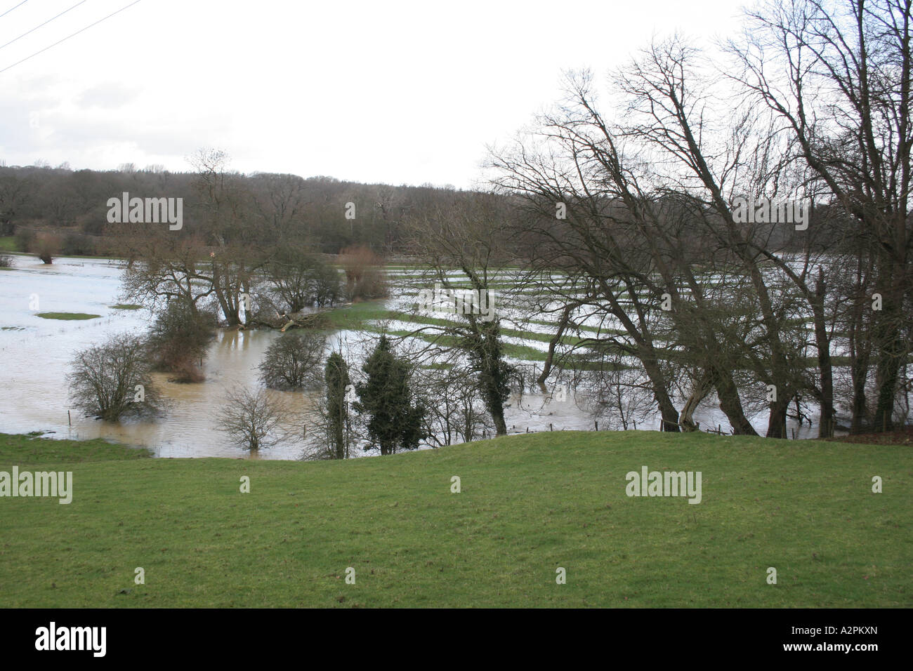 Flooding in the Oxfordshire countryside Stock Photo - Alamy