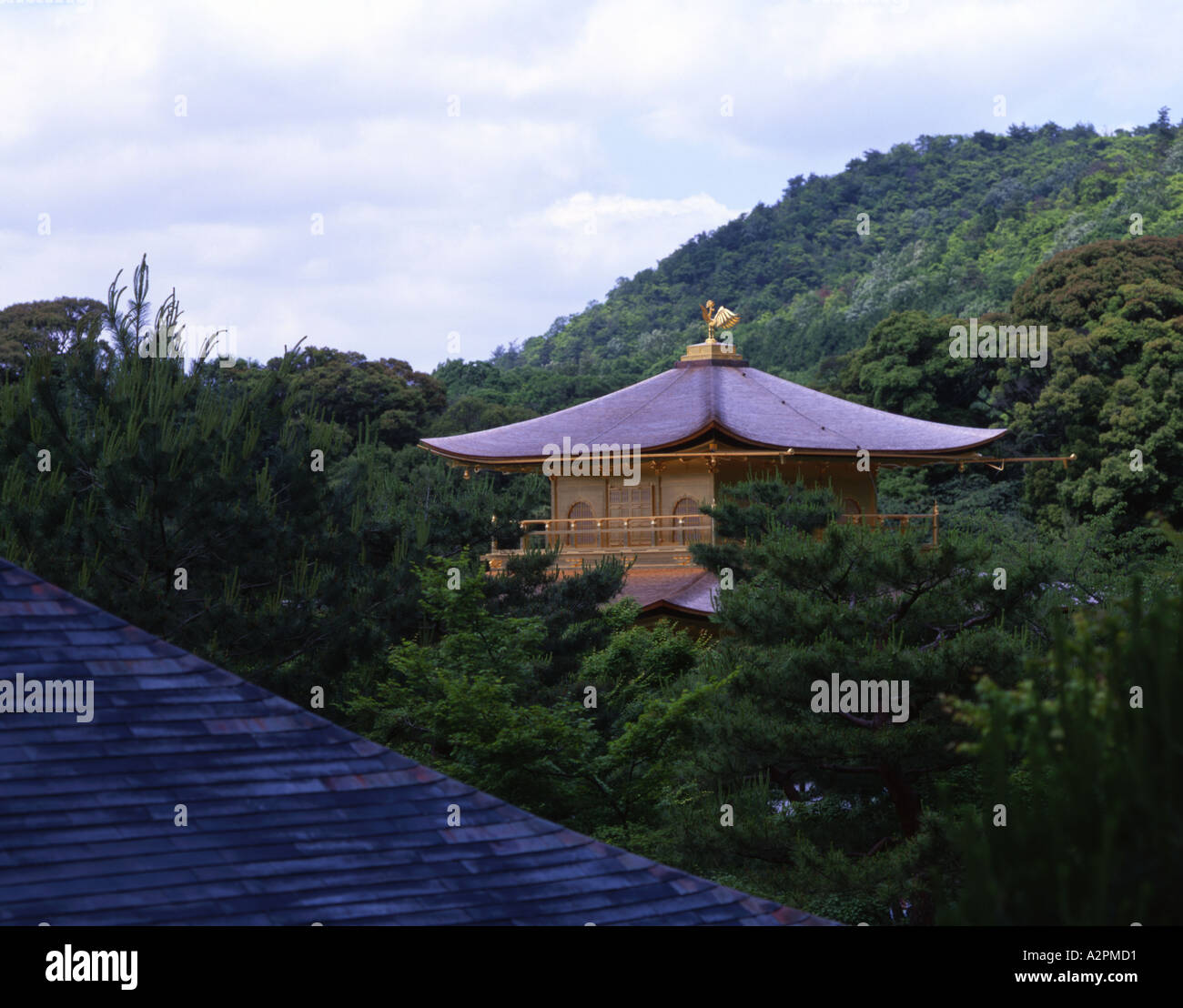 Golden kinkakuji temple kyoto hi-res stock photography and images - Alamy
