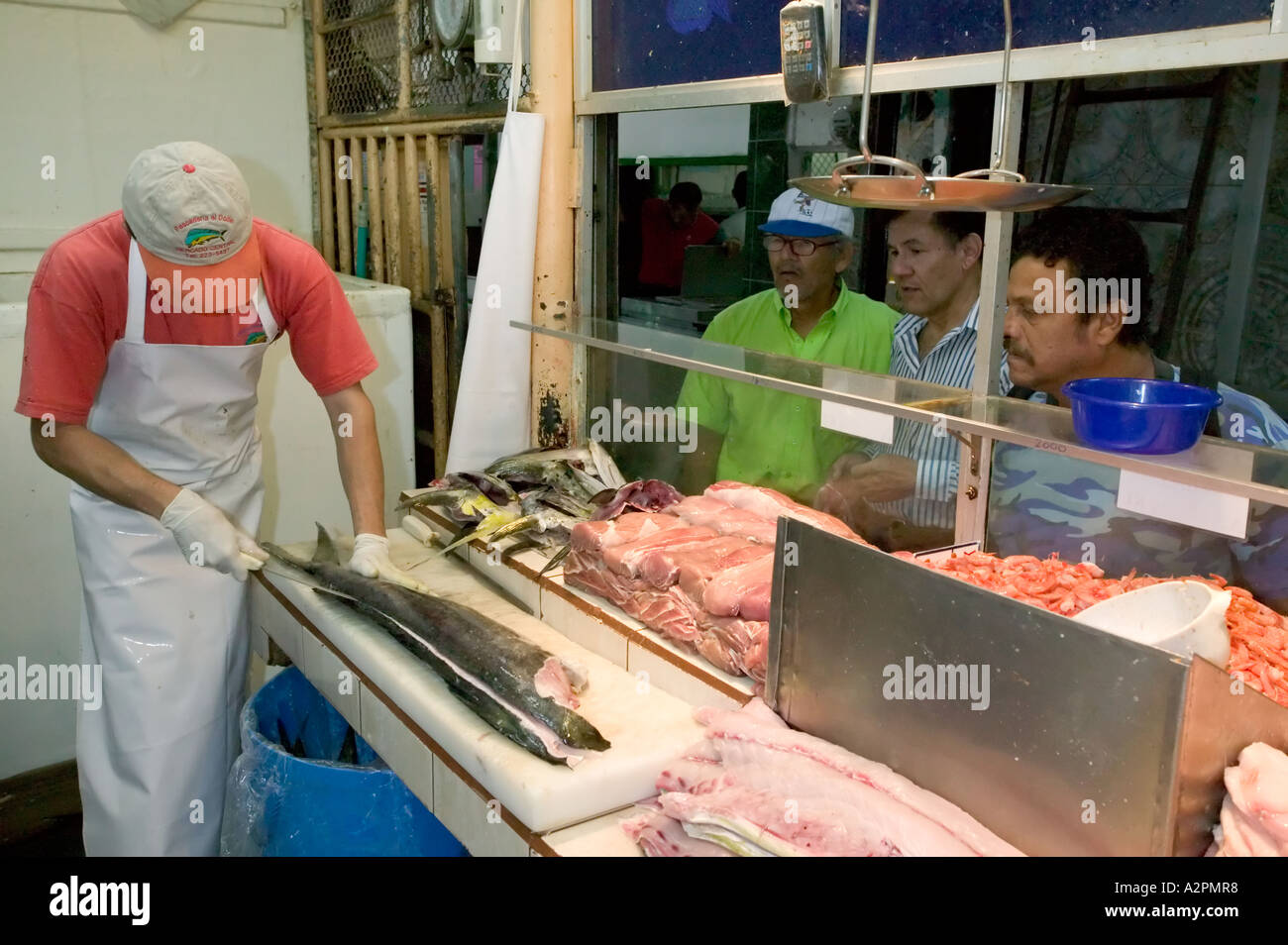 Fish stall in San José Mercado Central, Valle Central & Highlands ...