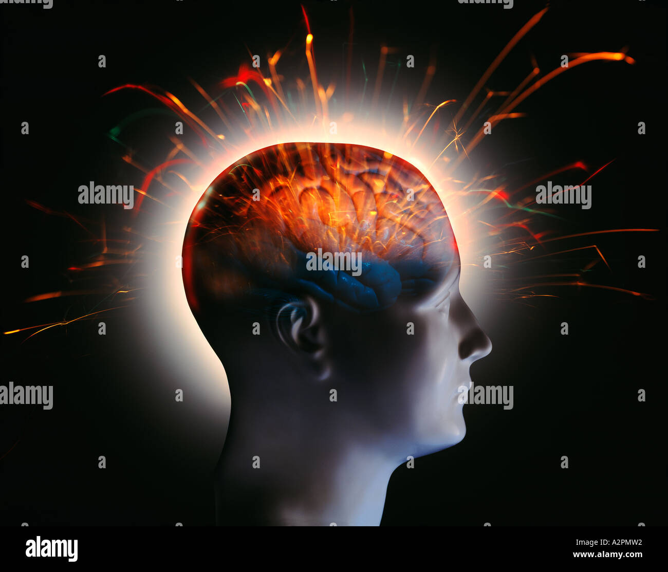 Exiting thrilling hi-res stock photography and images - Alamy