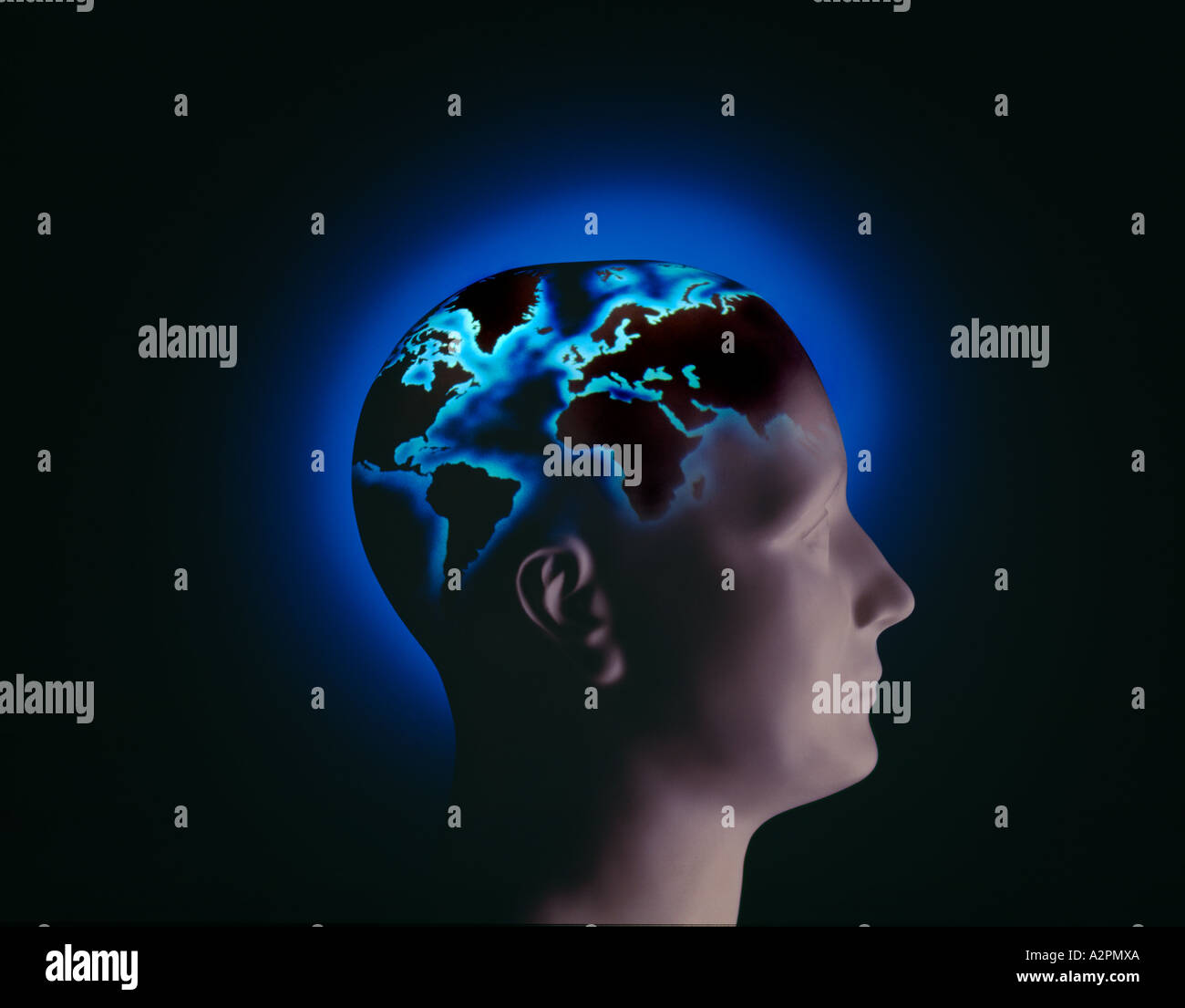 Brain map hi-res stock photography and images - Alamy