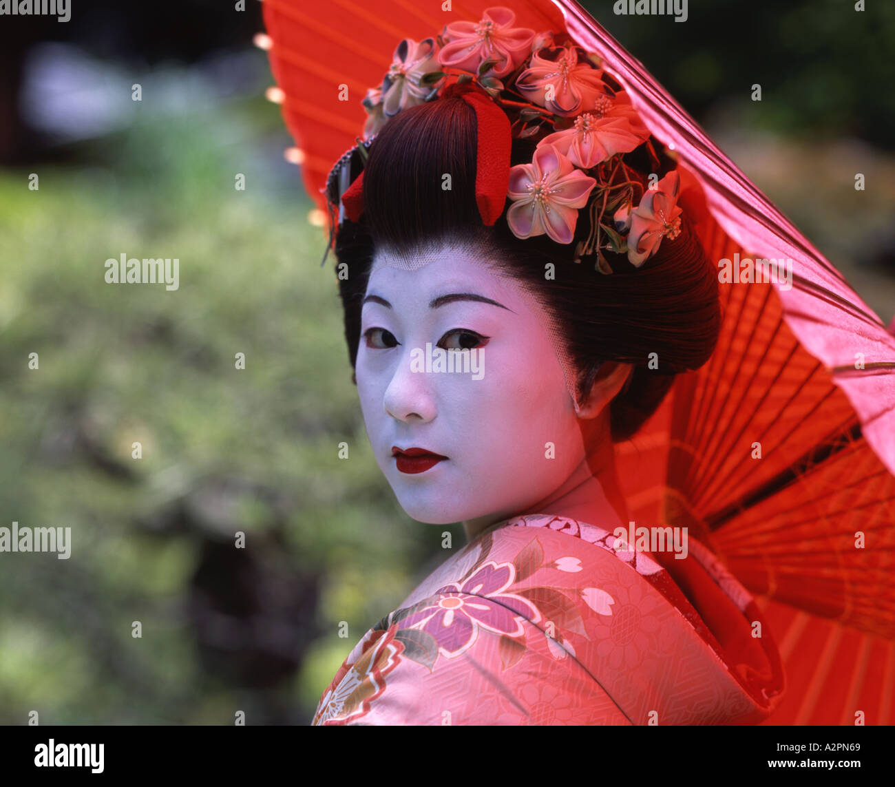 Girl in maiko trainee Geisha costume in Japanese garden of Gion Kyoto ...