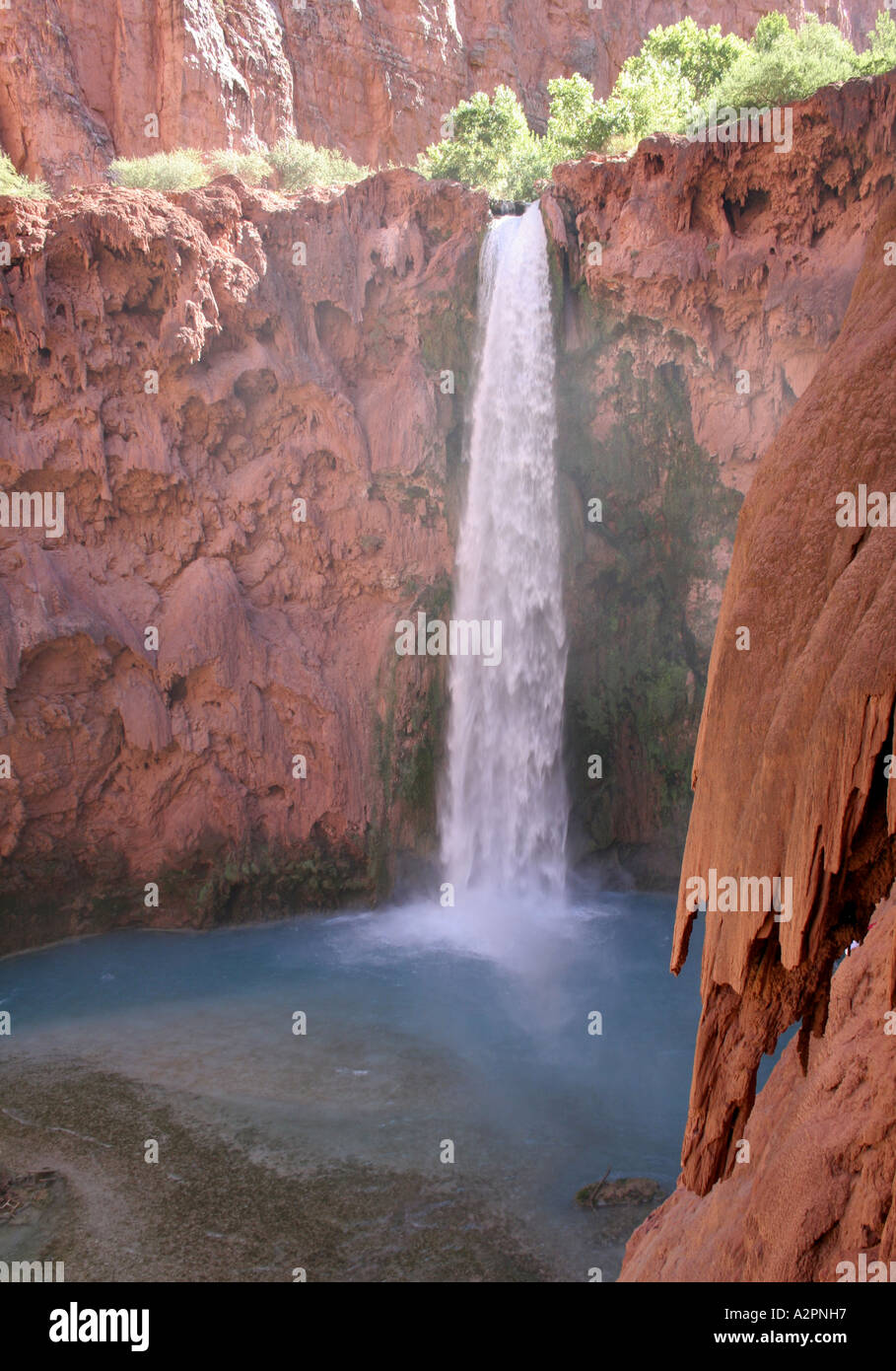 Beautiful mooney falls hi-res stock photography and images - Alamy