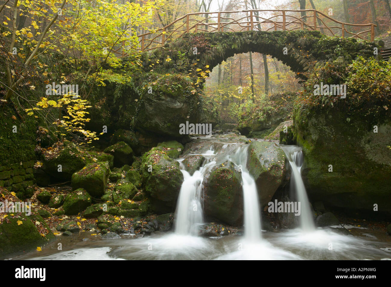 Luxembourg, Mullerthal near Echternach. The old stone bridge ...