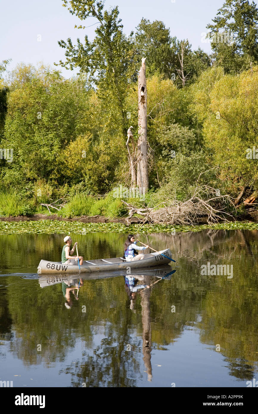 Canoe in backwater off Lake Washington Seattle USA Stock Photo - Alamy