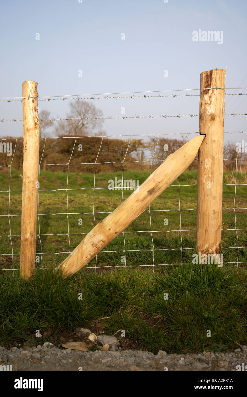 New fencing and wooden posts for cycle track on former railway track ...