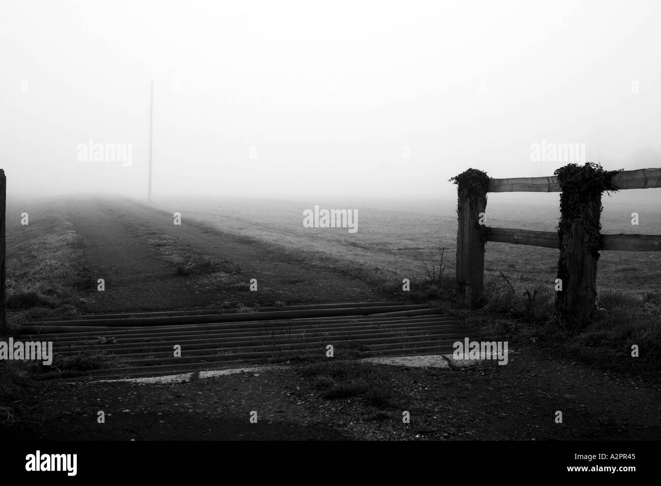 Cattle grid gate and Early Morning fog Wiltshire England 2005 Stock ...