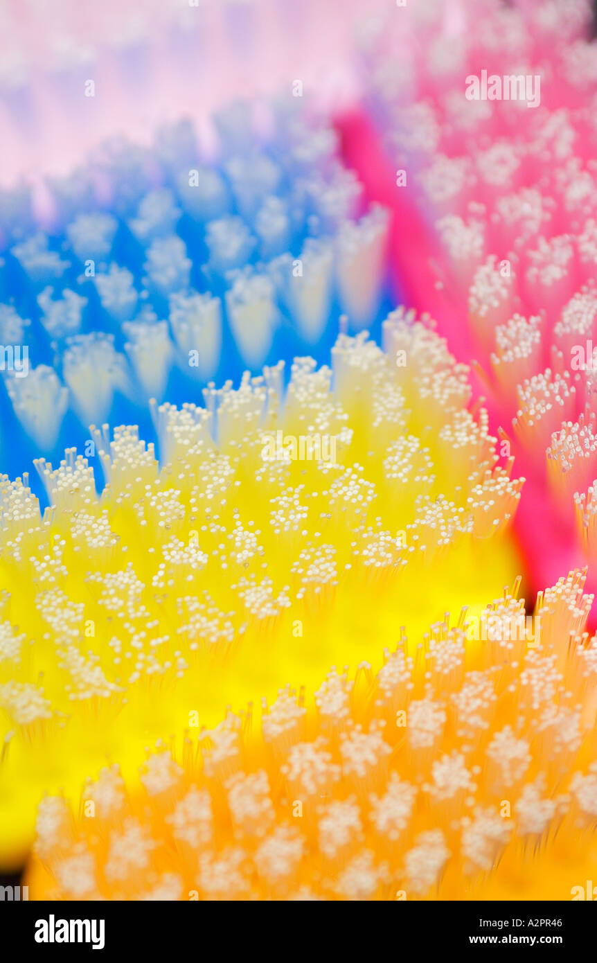Coloured tooth brushes Stock Photo - Alamy