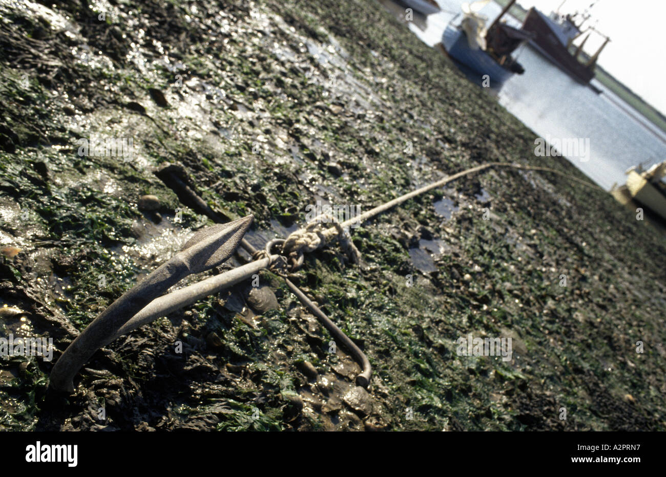 Mud anchor hi-res stock photography and images - Alamy