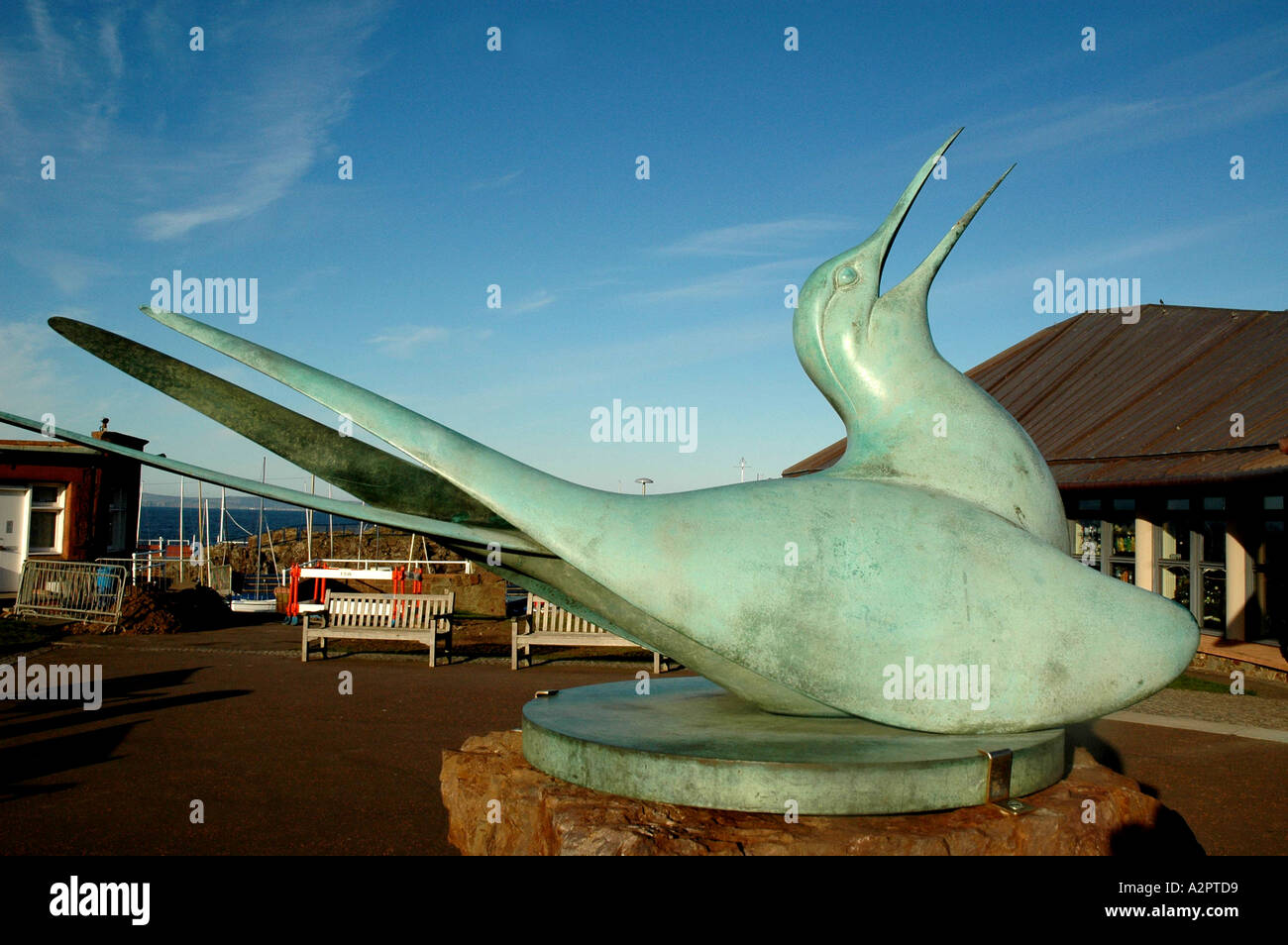 Scottish Sea Birds Tourist and Visitors Centre North Berwick east ...