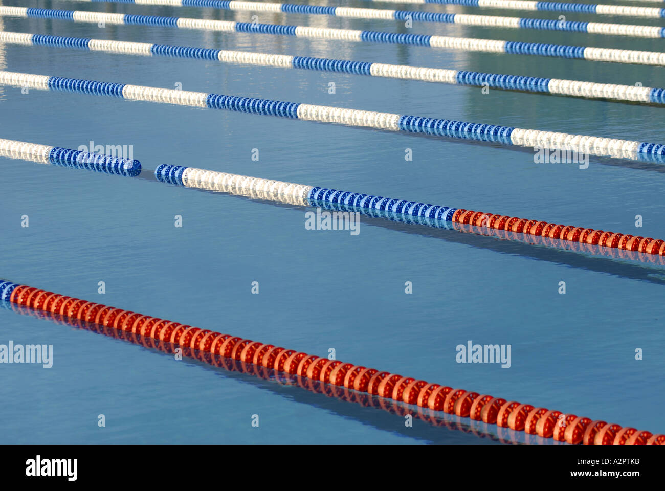 Olympic swimming pool length hi-res stock photography and images - Alamy
