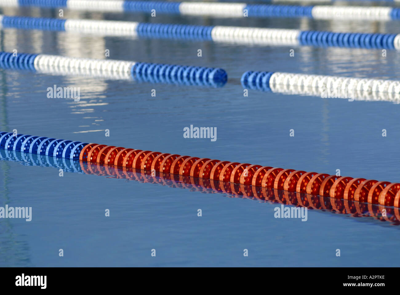 Olympic length pool hi-res stock photography and images - Alamy