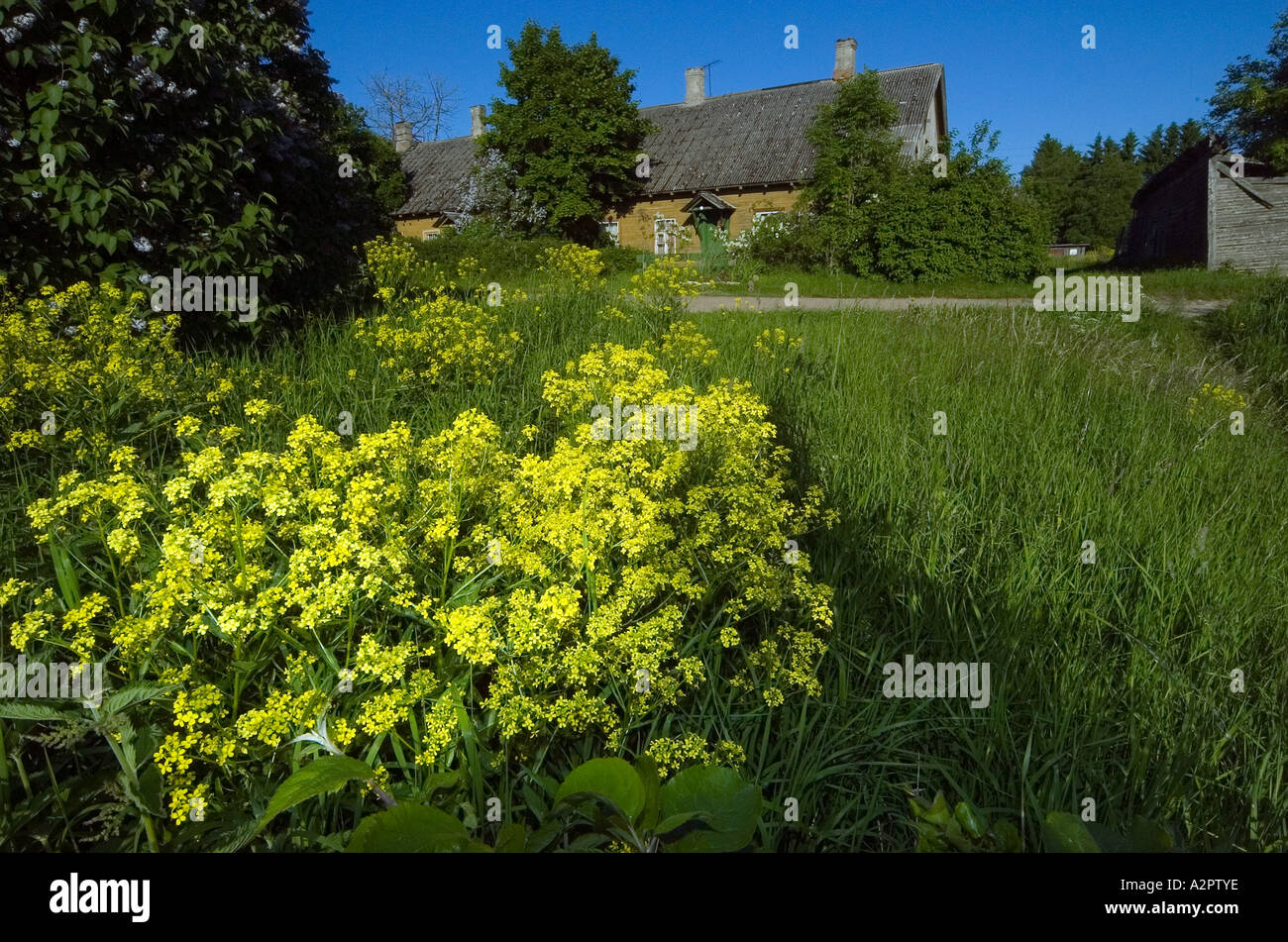 Estonian farm life hi-res stock photography and images - Alamy