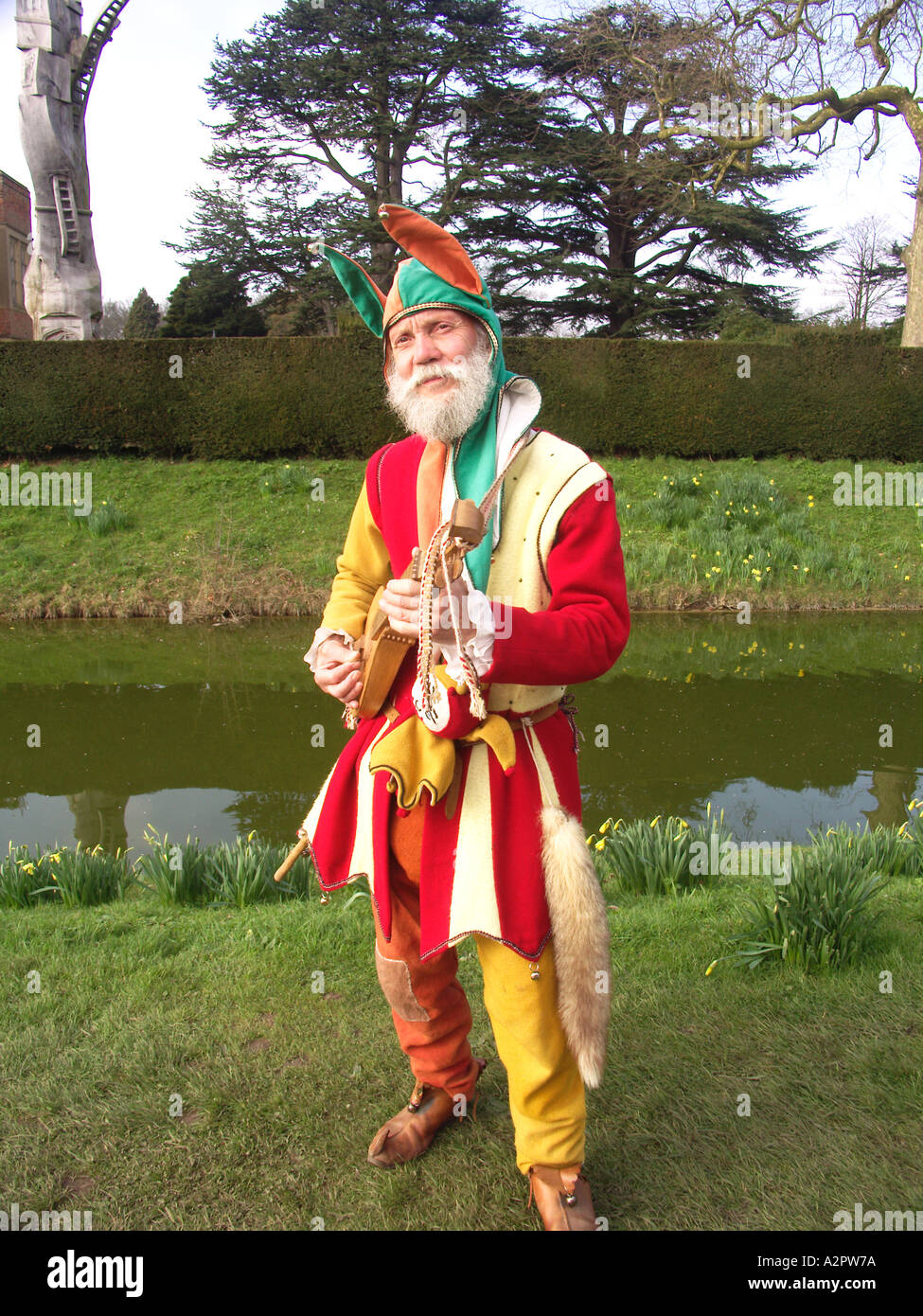 Jester playing music Stock Photo - Alamy