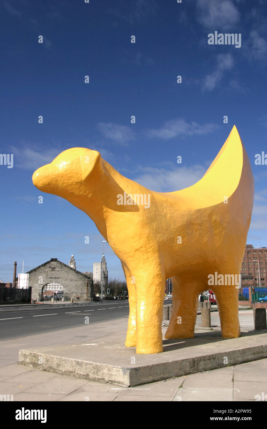 Liverpool statue super lamb banana hi-res stock photography and images ...