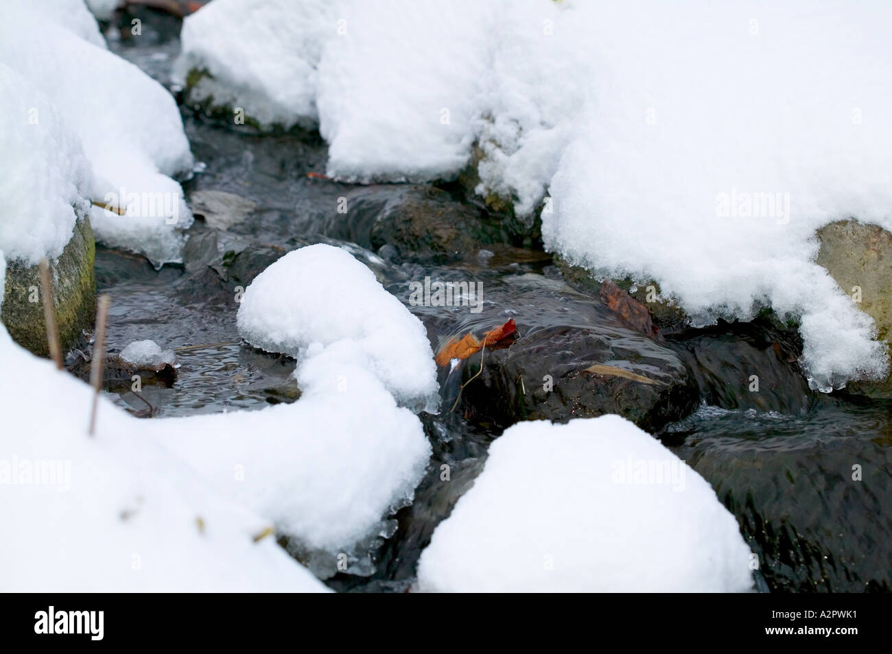 Brooklet High Resolution Stock Photography and Images - Alamy