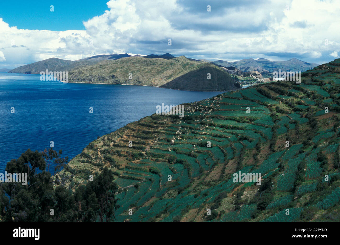 Sun Island Lake Titicaca Bolivia Stock Photo - Alamy