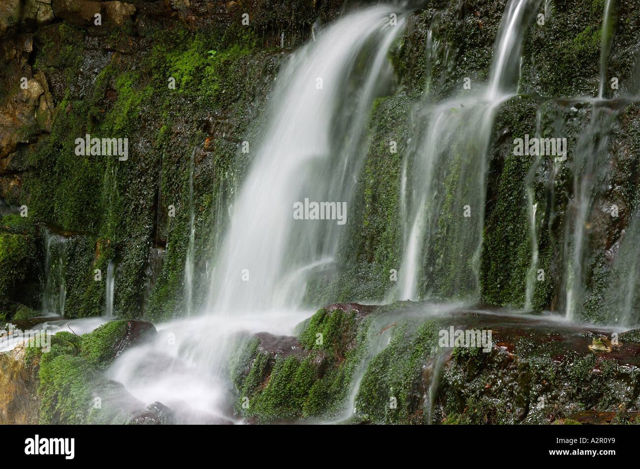 Devils monument waterfall and moss detail Bruce Peninsula Ontario Stock ...