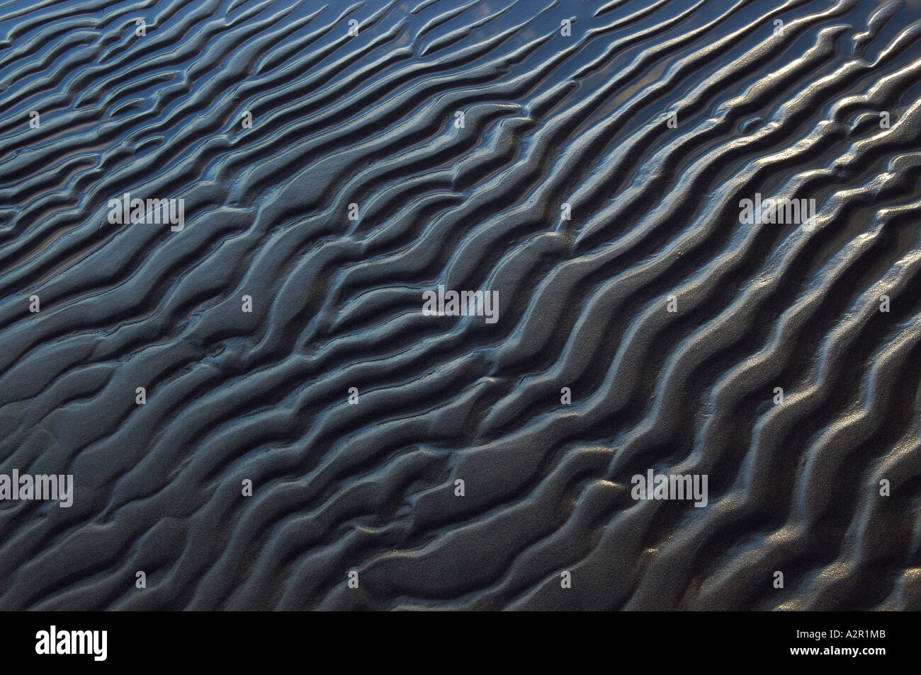 Abstract wallpaper of Sand ripples at low tide Singing Sands Provincial ...