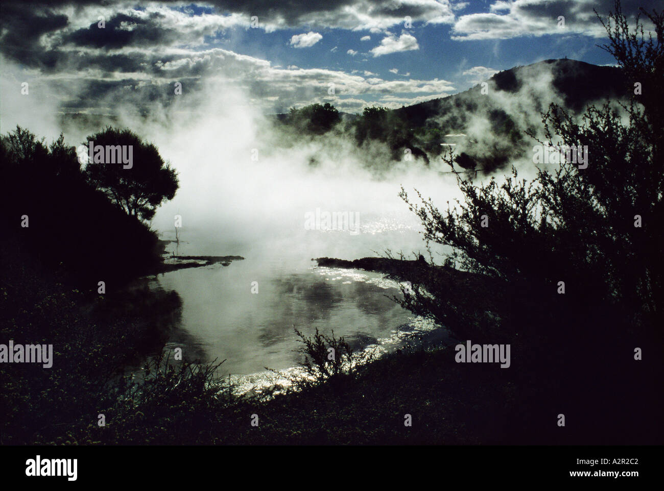 Steaming Roadside Pond in Rotorua, North Island, New Zealand Stock ...