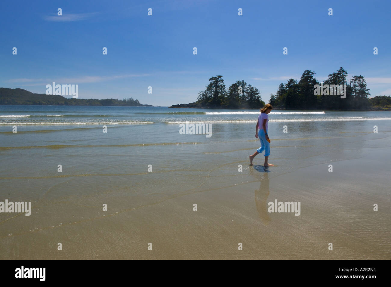 Beachcomb Beachcombing Beachcomber High Resolution Stock Photography ...