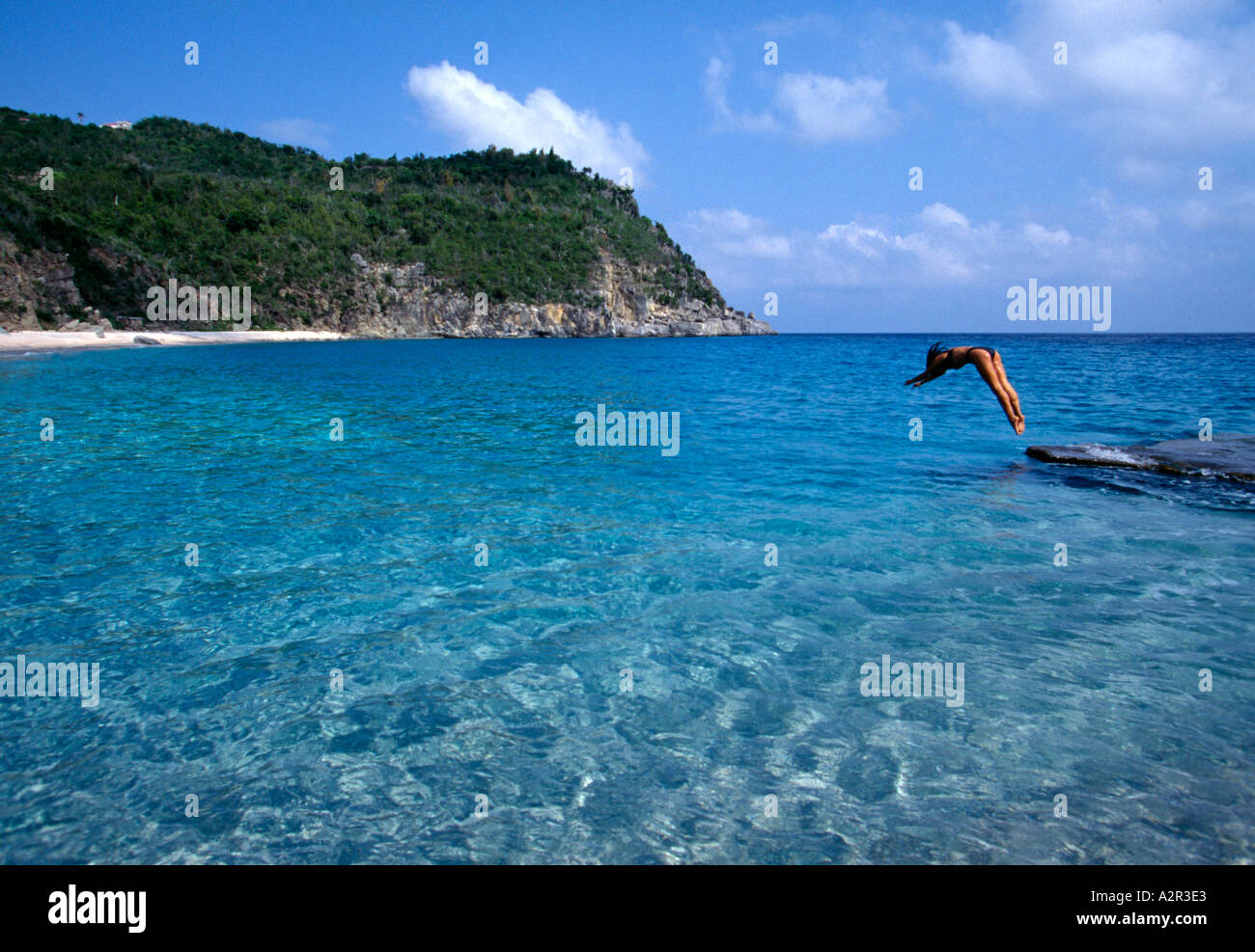 St barth shell beach hi-res stock photography and images - Alamy