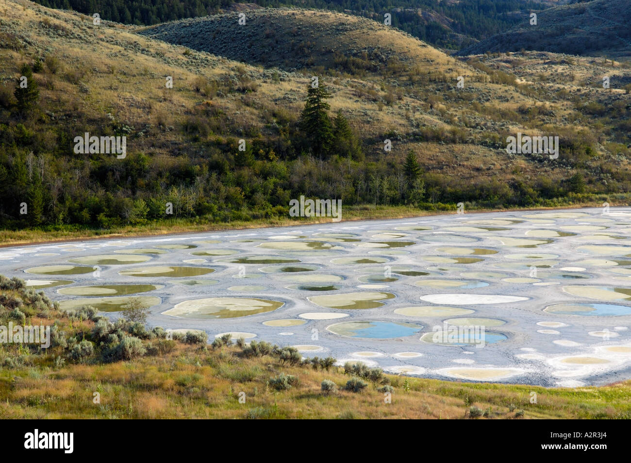 Spotted lake salt crystal circles Okanagan valley British Columbia ...