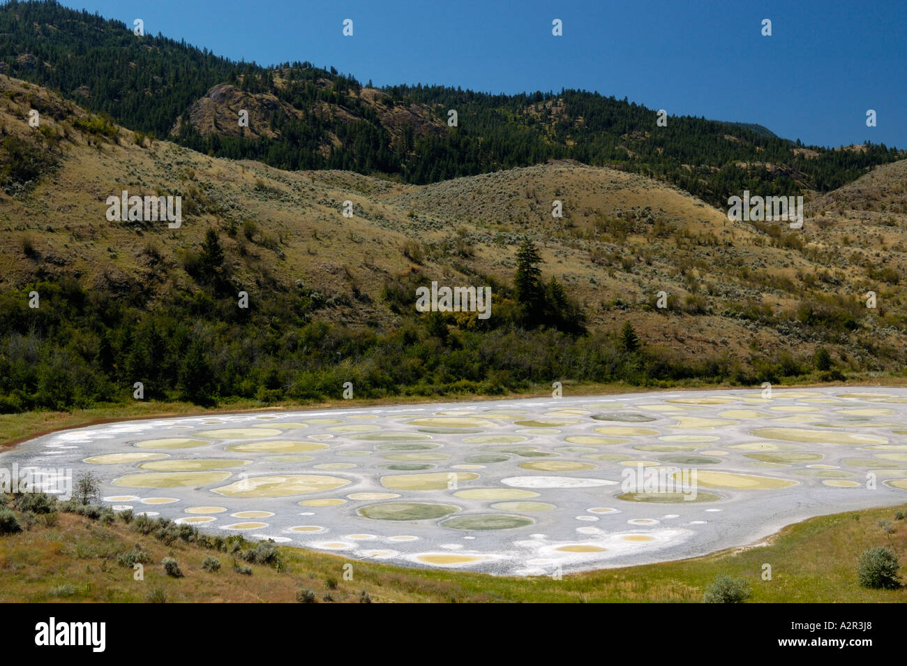 Spotted lake hi-res stock photography and images - Alamy